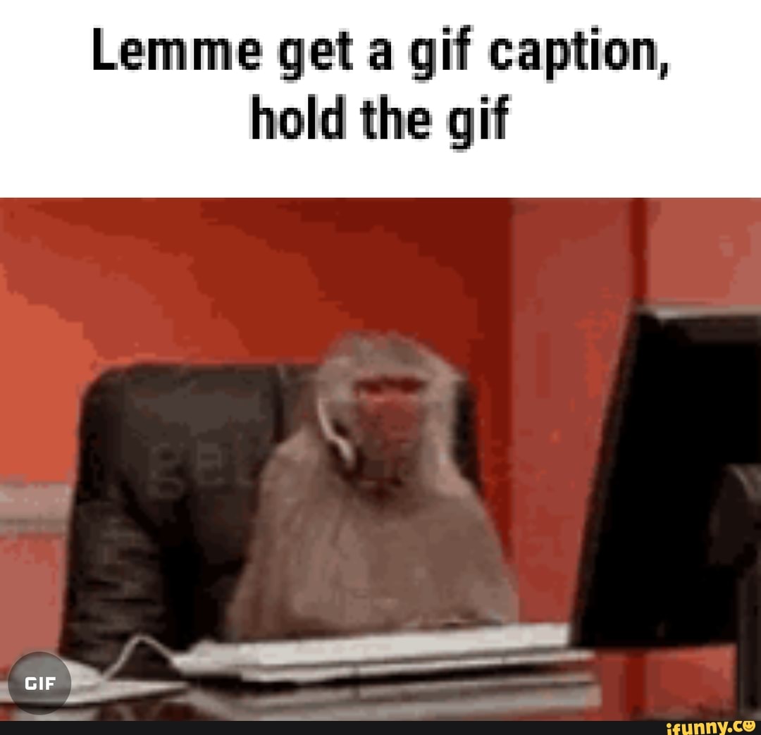 Lemme get a gif caption, hold the gif GIF - iFunny