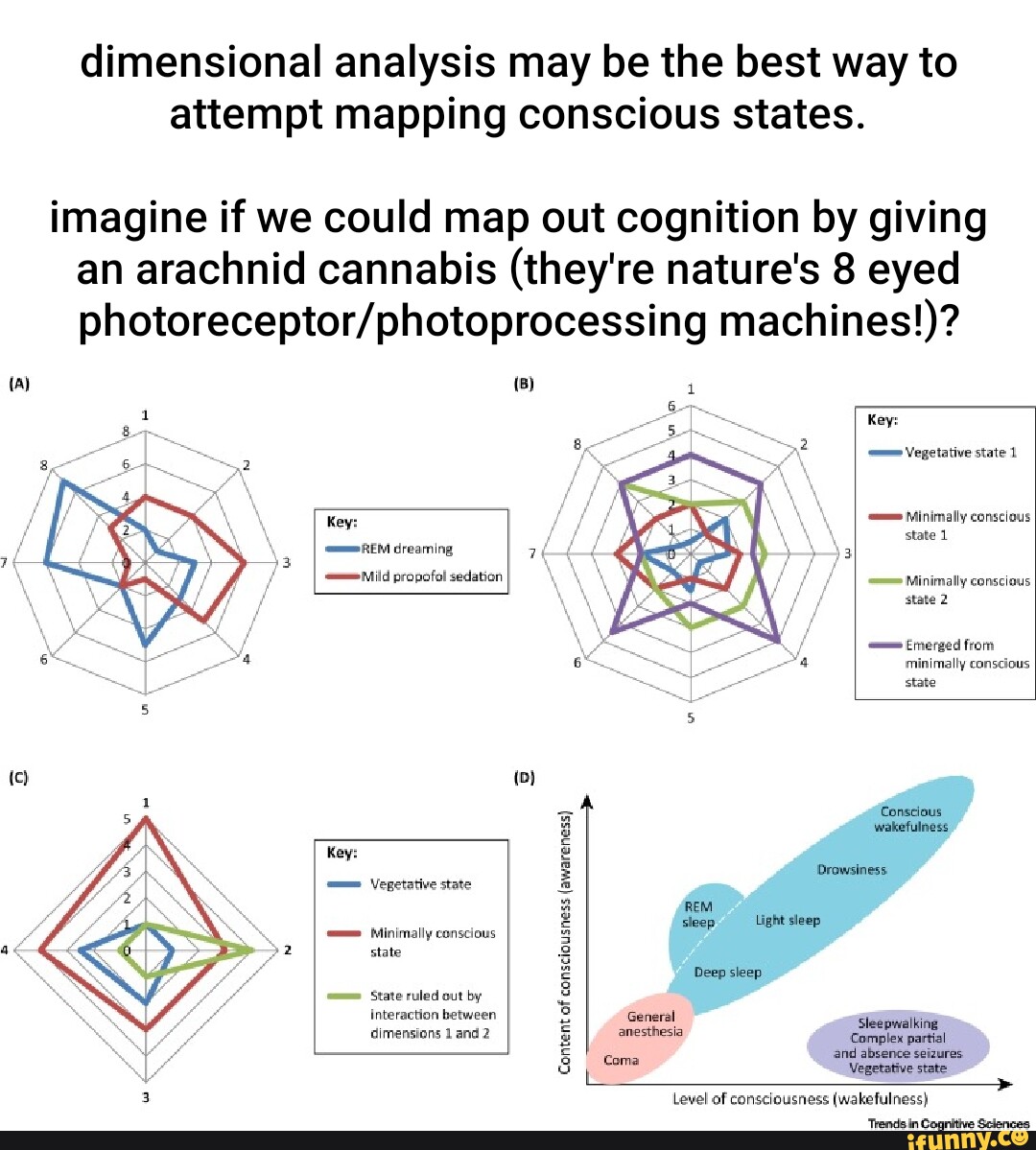 Dimensional analysis may be the best way to attempt mapping conscious ...
