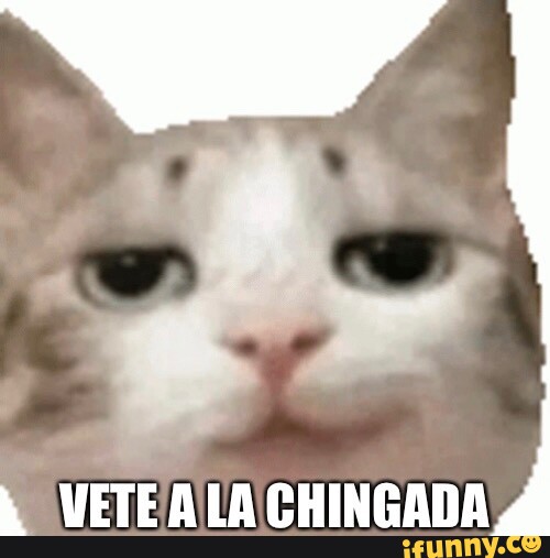 Chinga memes. Best Collection of funny Chinga pictures on iFunny