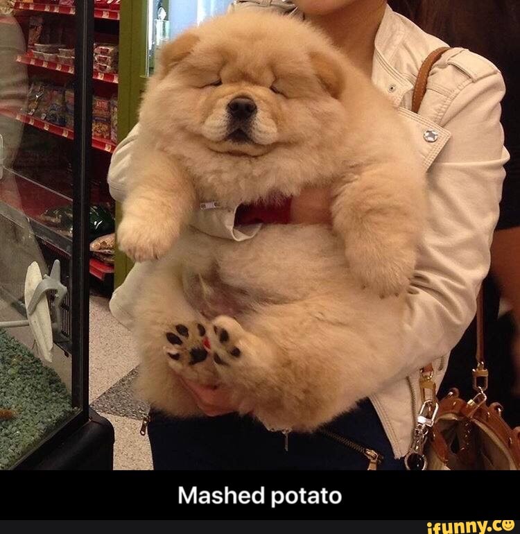 Mashed potato - iFunny
