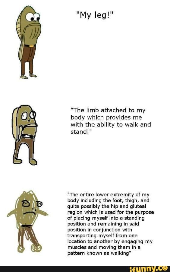 Extremity memes. Best Collection of funny Extremity pictures on iFunny