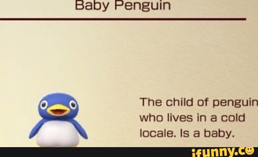 Baby Penguin The child of penguin who lives in a cold locale. Is a baby ...