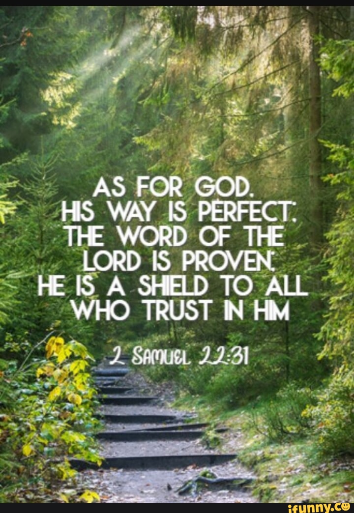 AS FOR GOD. HIS WAY IS PERFECT: THE WORD OF THE LORD PROVEN HE IS A ...
