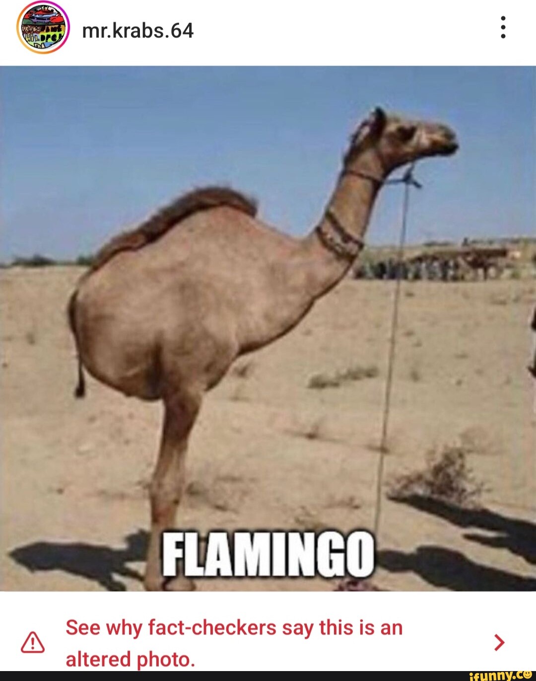 Mr.krabs.64 FLAMINGO See why fact-checkers say this is an altered photo ...