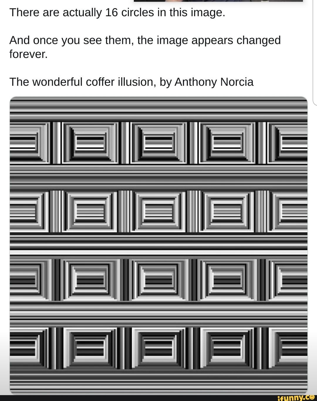 There are actually 16 circles in this image. And once you see them, the ...