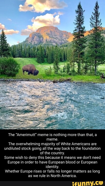 The "Amerimutt" meme is nothing more than that, a meme. The ...