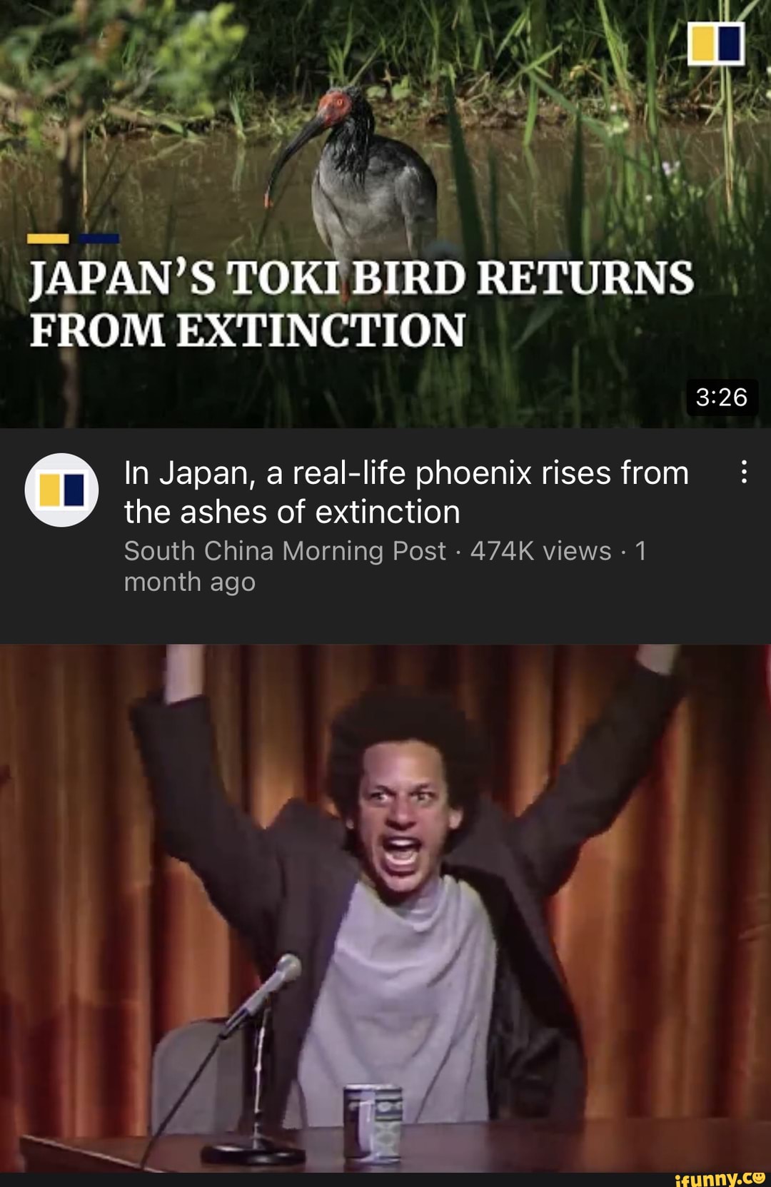 Birds memes memes. The best memes on iFunny