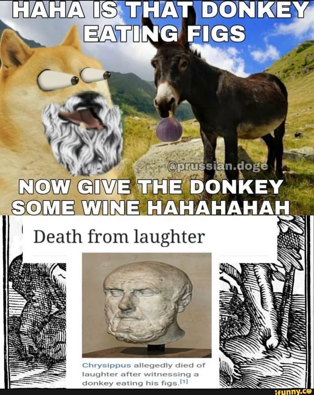 Lavehter memes. Best Collection of funny Lavehter pictures on iFunny