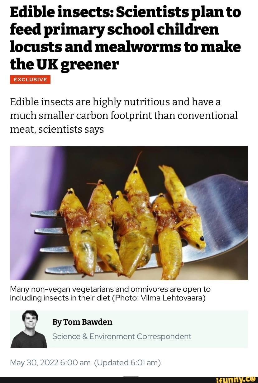 Edible insects: Scientists plan to feed primary school children locusts ...