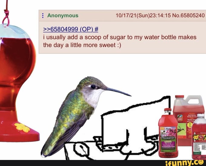 Hummingbird memes. Best Collection of funny Hummingbird pictures on iFunny