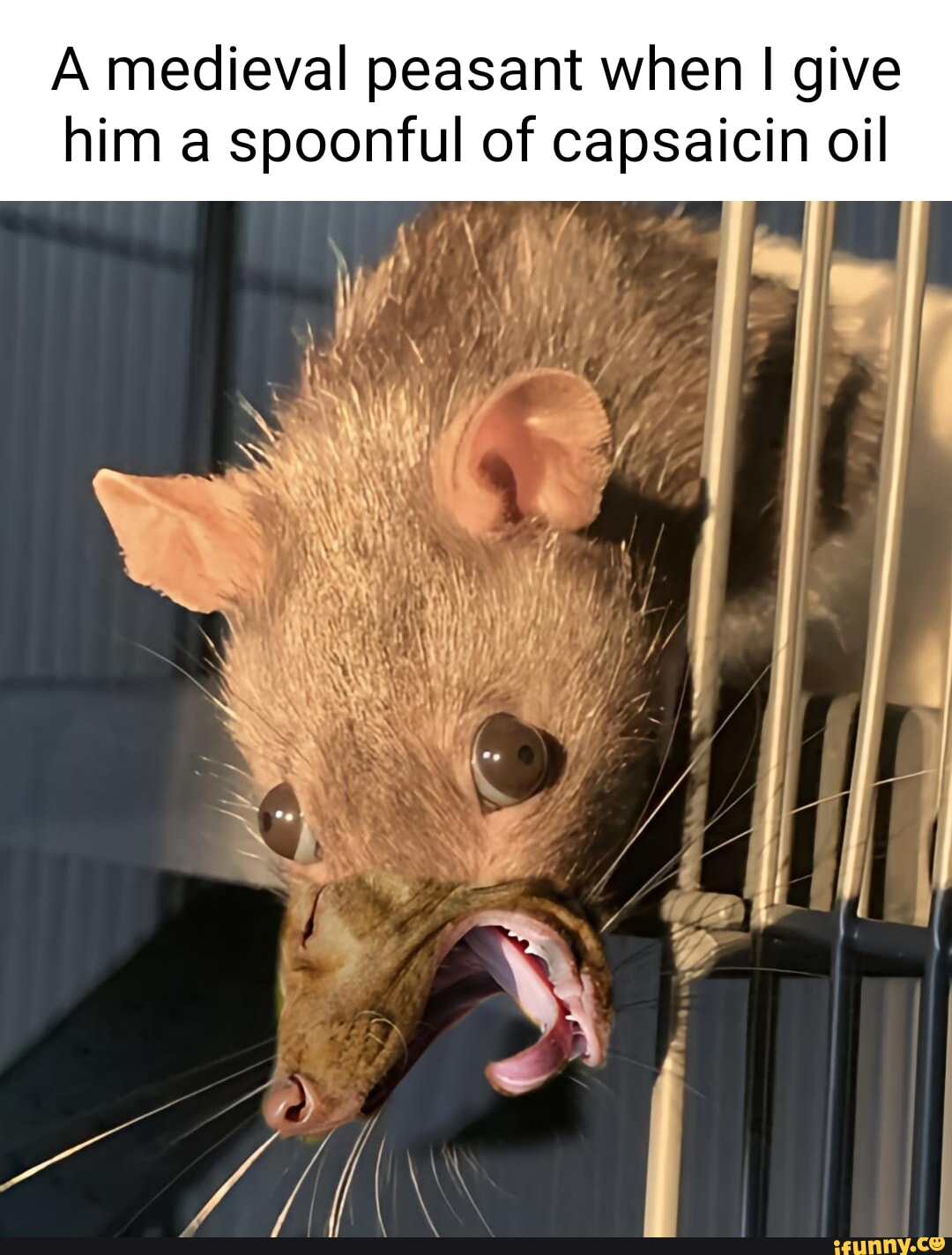 Capsaicin memes. Best Collection of funny Capsaicin pictures on iFunny