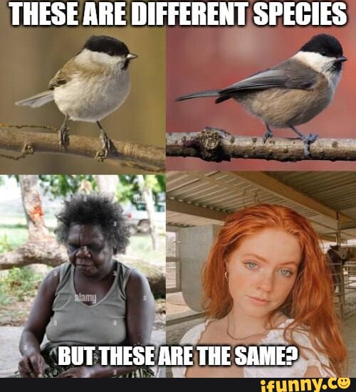 THESE ARE DIFFERENT SPECIES BUT THESE ARE THE SAME? - iFunny