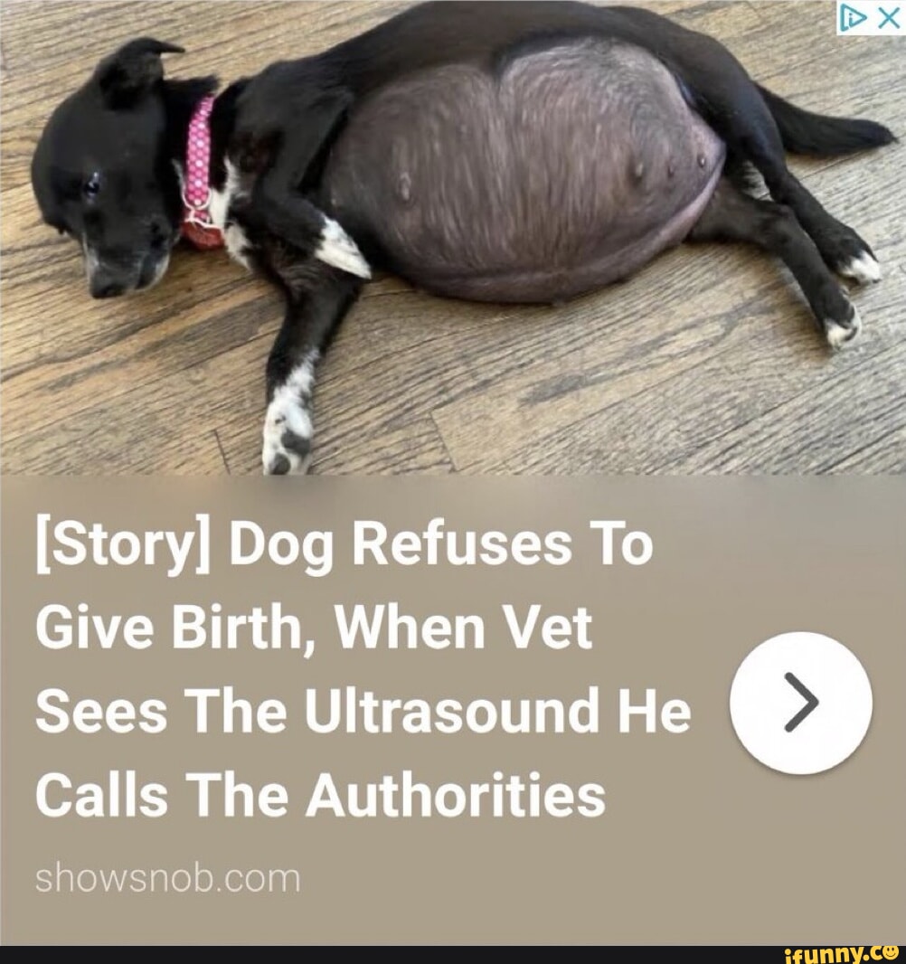 Ultrasound memes. Best Collection of funny Ultrasound pictures on iFunny