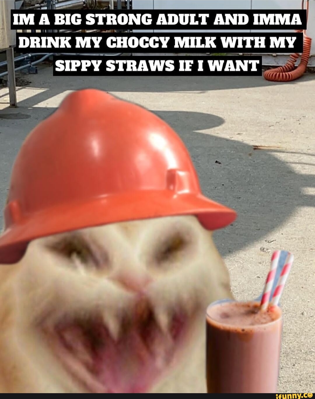 Choccy memes. Best Collection of funny Choccy pictures on iFunny