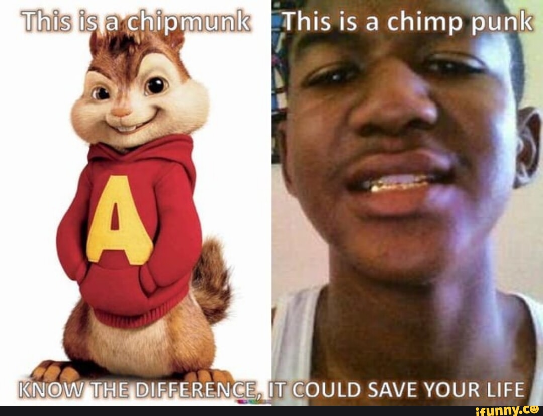 Chimp memes. Best Collection of funny Chimp pictures on iFunny