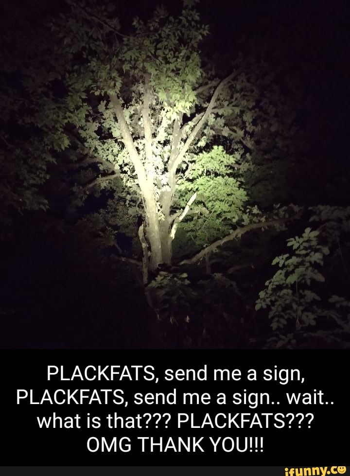 Documentmyperfectlife memes. Best Collection of funny ...