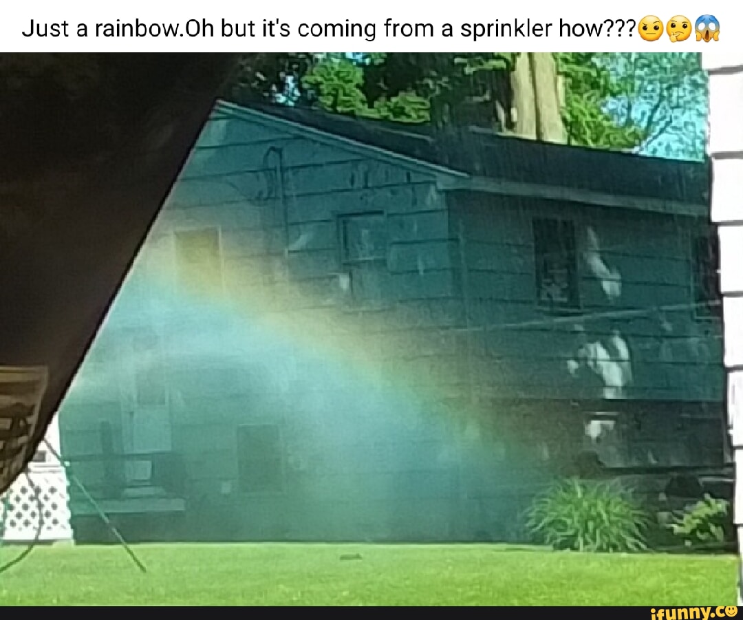 Sprinkler memes. Best Collection of funny Sprinkler pictures on iFunny
