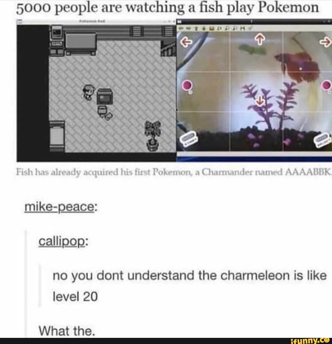 5000 people are watching a fish play Pokemon Fish has already acquired ...