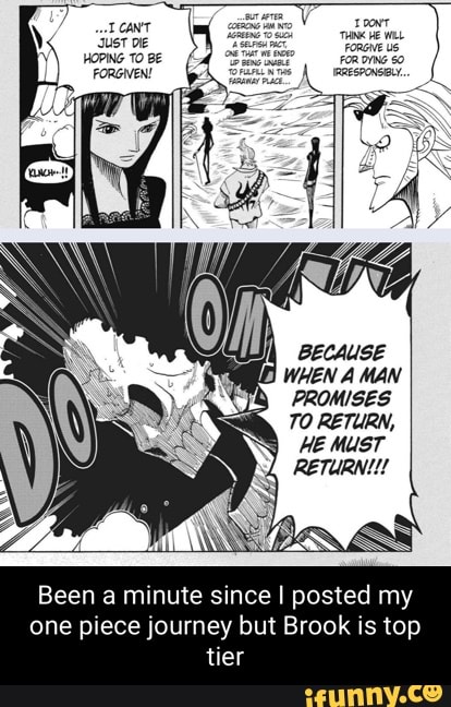 Brook memes. Best Collection of funny Brook pictures on iFunny