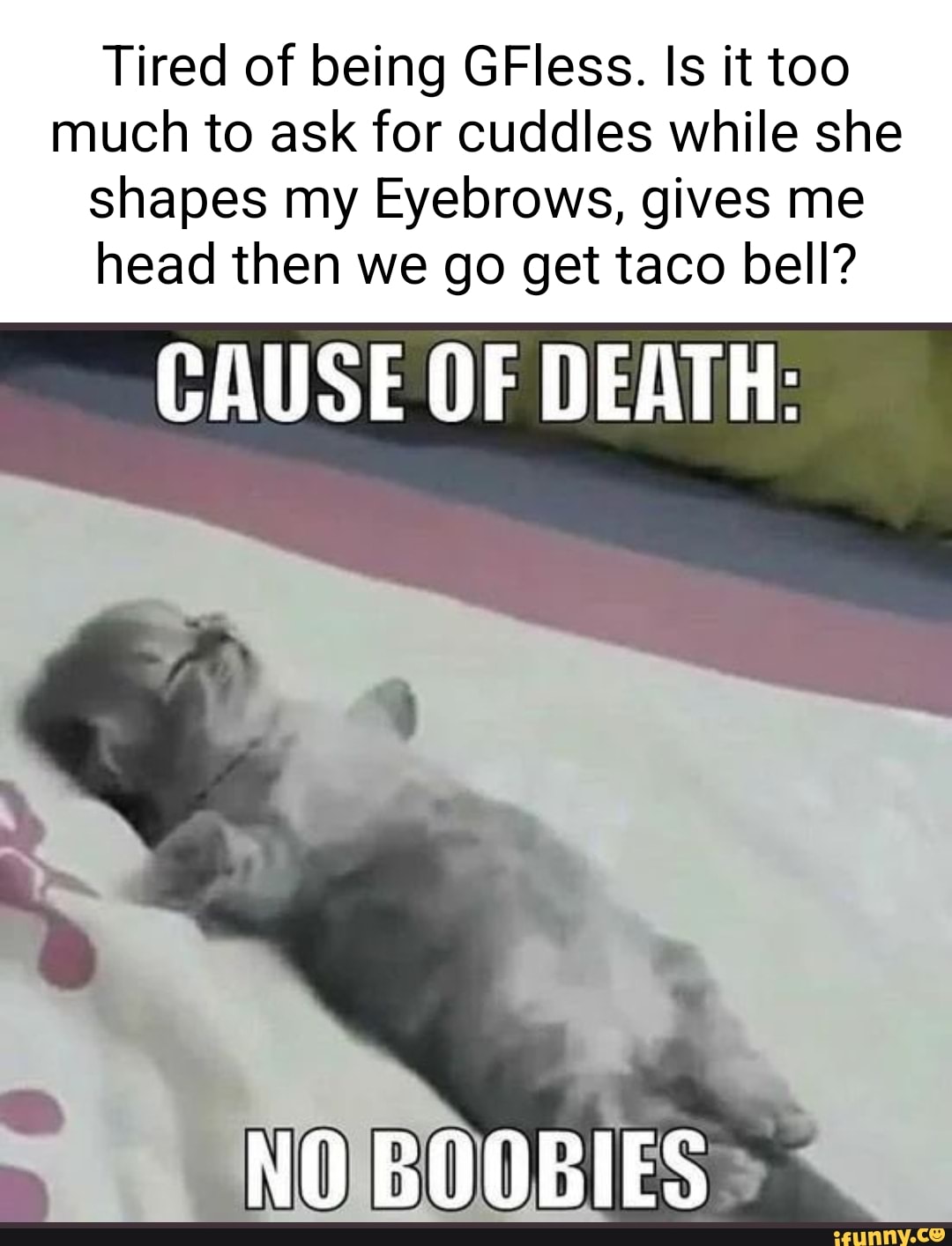 Boubies memes. Best Collection of funny Boubies pictures on iFunny