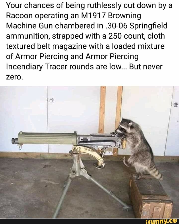 Your chances of being ruthlessly cut down by a Racoon operating an ...
