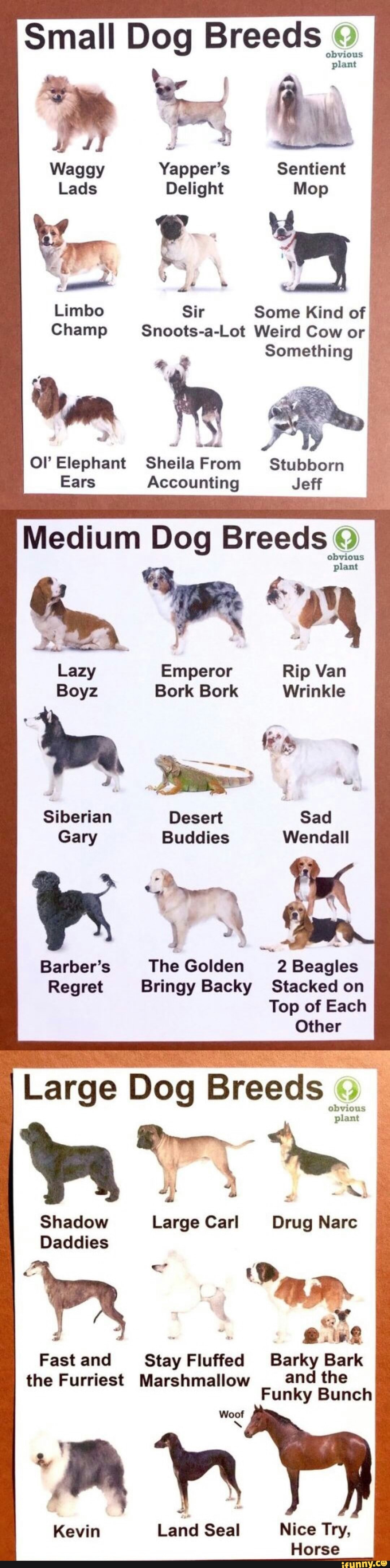 Yappers memes. Best Collection of funny Yappers pictures on iFunny