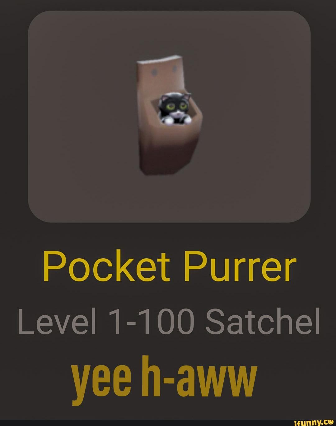 Pocket Purrer Level 1-100 Satchel - iFunny