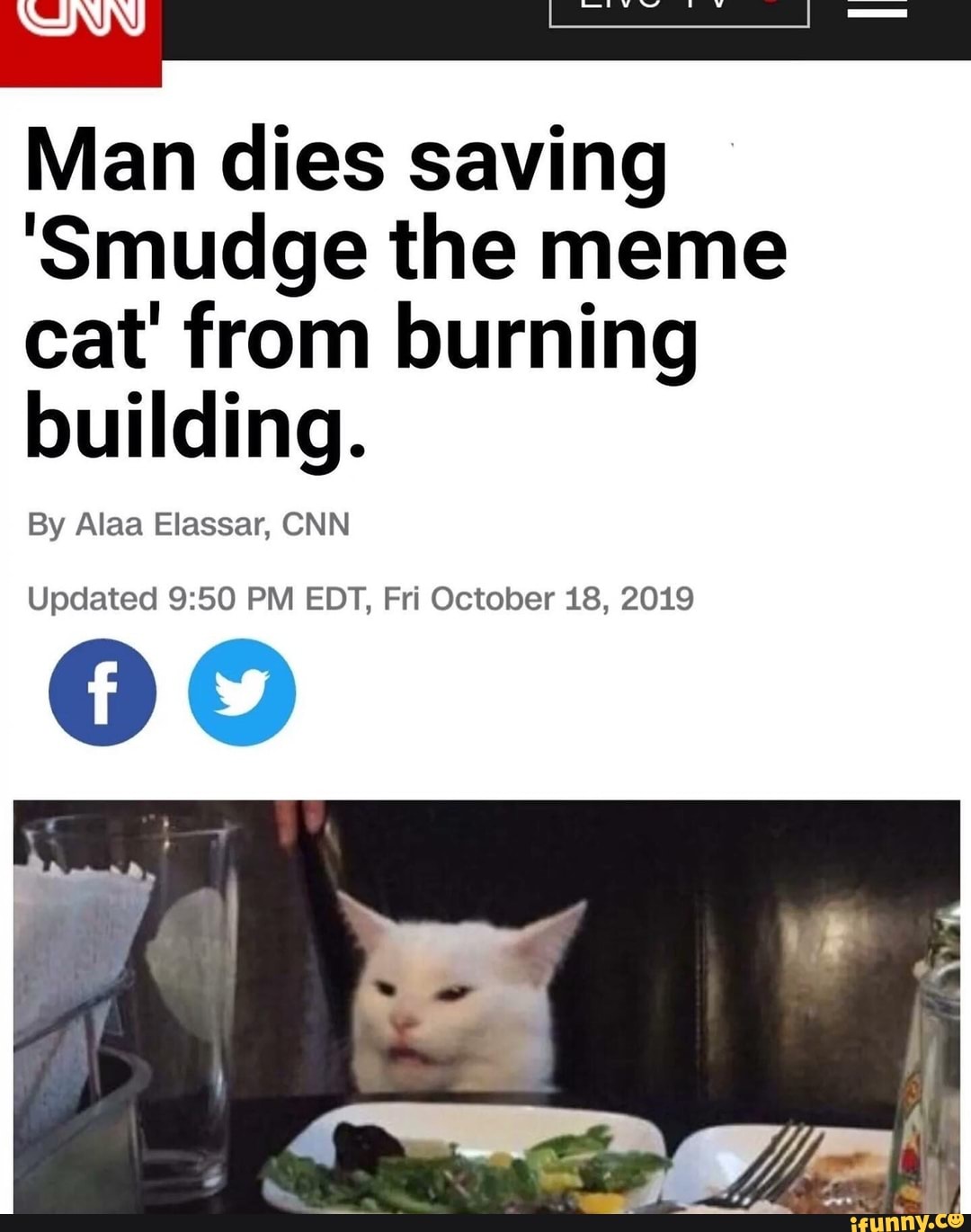 Man dies saving 'Smudge the meme cat' from burning building. By Alaa ...