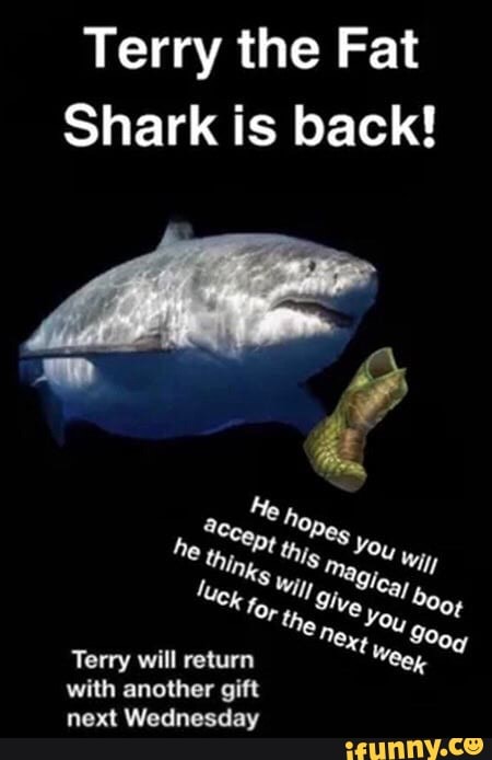 Terry the Fat Shark is back! Terry will return [Week - iFunny