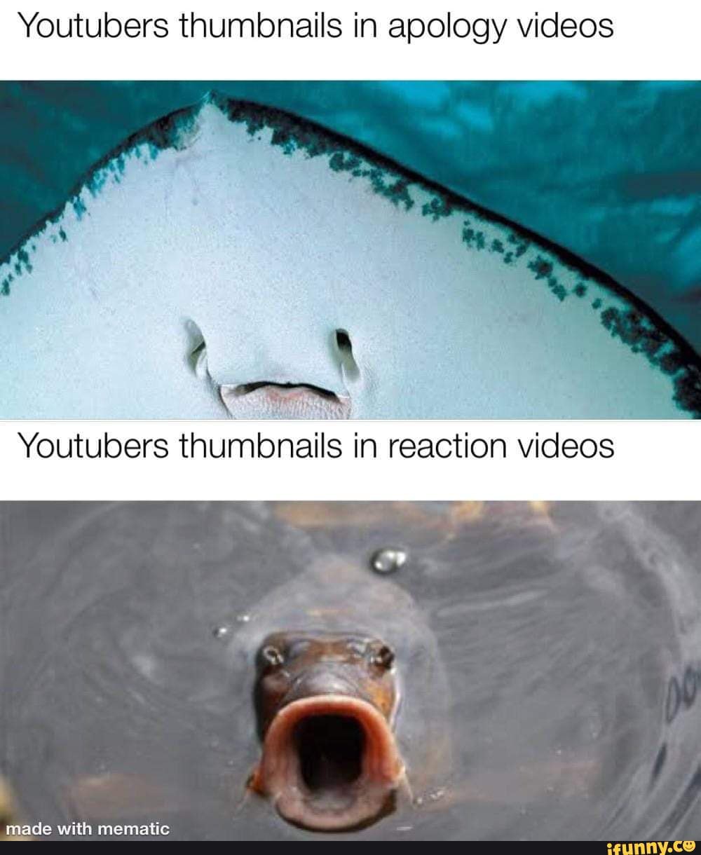 Thumbnails memes. Best Collection of funny Thumbnails pictures on iFunny
