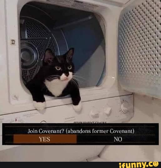 MASTER CHIEF? YOU'RE DOING IN THAT SHUGGIE - iFunny