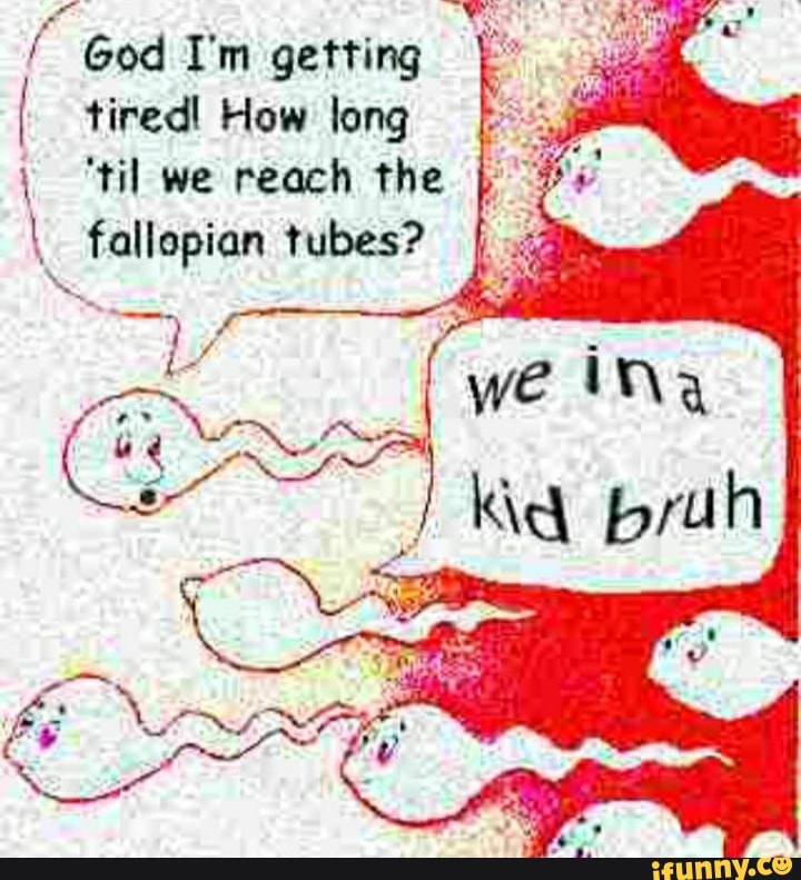 God Im getting tired! How long I 'til we reach the fallopian tubes ...