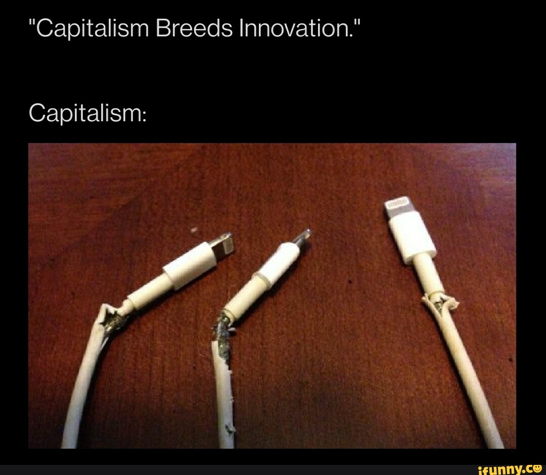 Breeds memes. Best Collection of funny Breeds pictures on iFunny