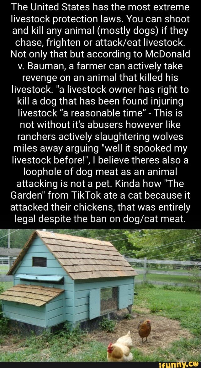 Bauman memes. Best Collection of funny Bauman pictures on iFunny