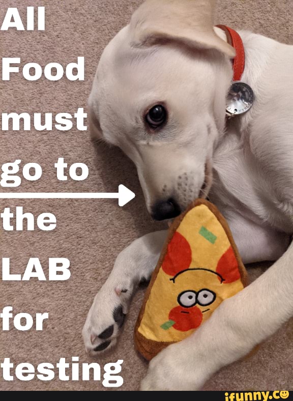 Lab_testing memes. Best Collection of funny Lab_testing pictures on iFunny