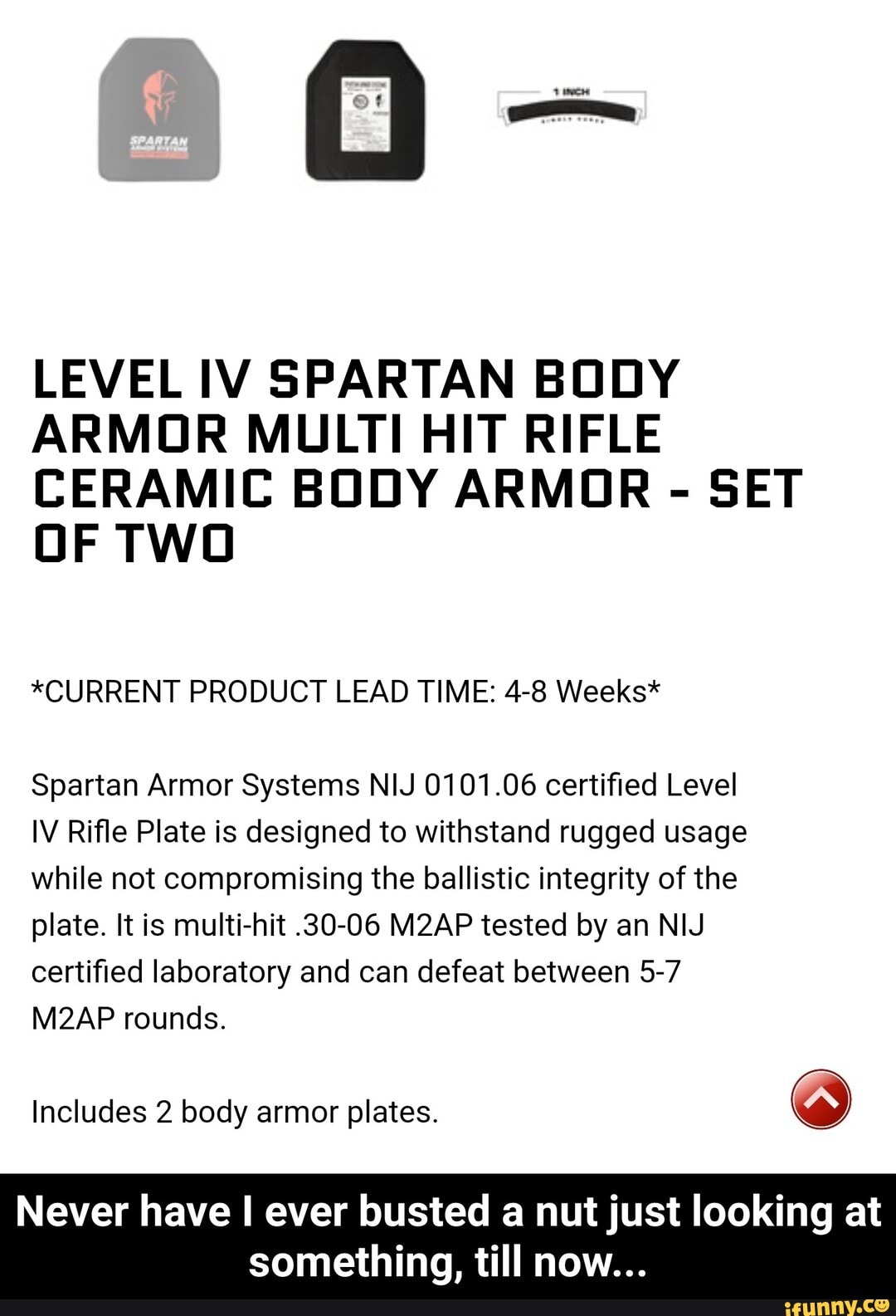LEVEL IV SPARTAN BODY ARMOR MULTI HIT RIFLE CERAMIC BODY ARMOR - SET OF ...