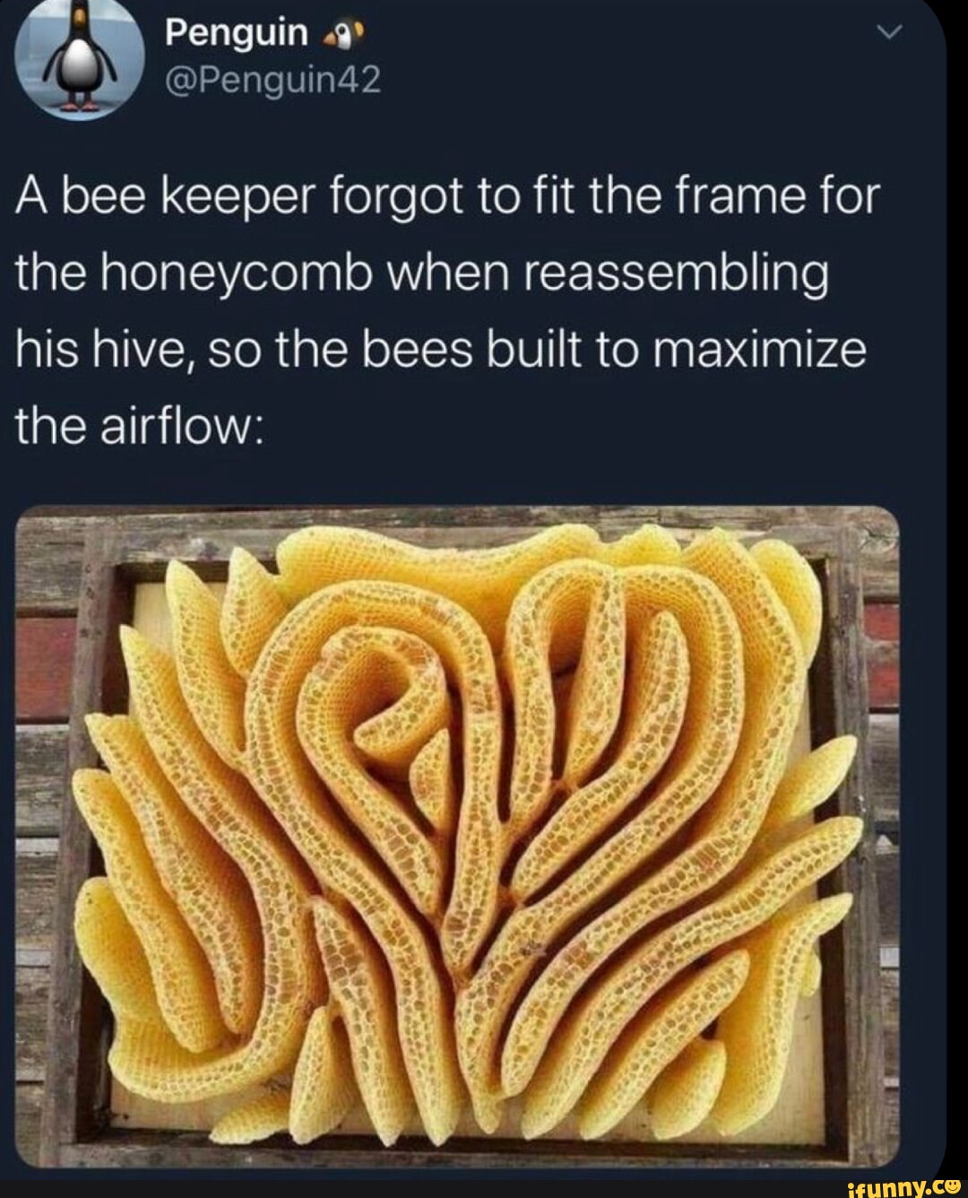 Maximize memes. Best Collection of funny Maximize pictures on iFunny