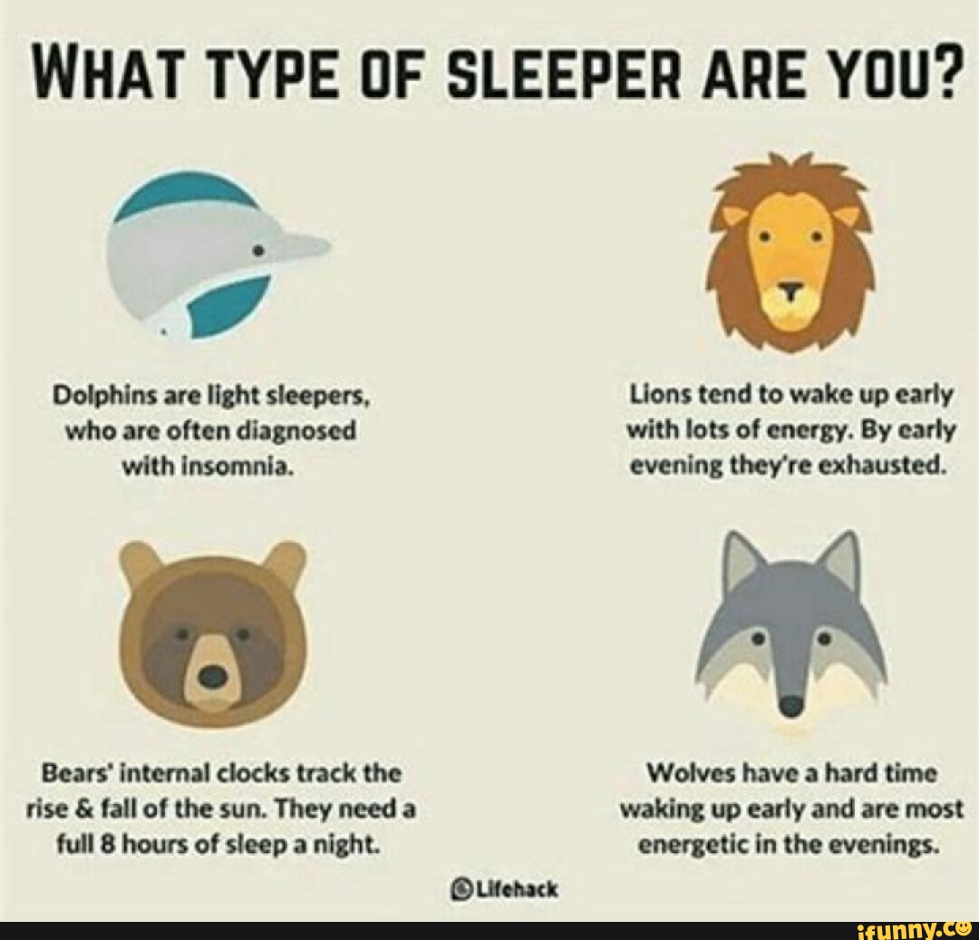 Sleepers memes. Best Collection of funny Sleepers pictures on iFunny