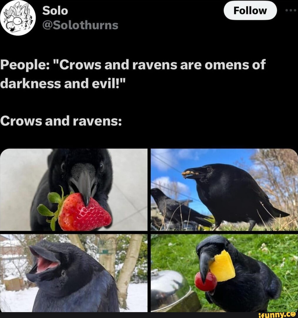 Video memes HCHpBnZbB by Bongo: 50 comments - iFunny