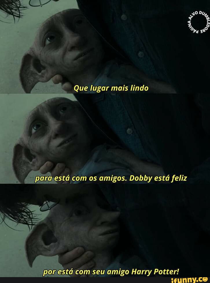 Que lugar mais lindo os amigos. Dobby estó feliz porestá com seu amigo ...