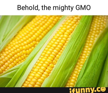 Behold, the mighty GMO - iFunny