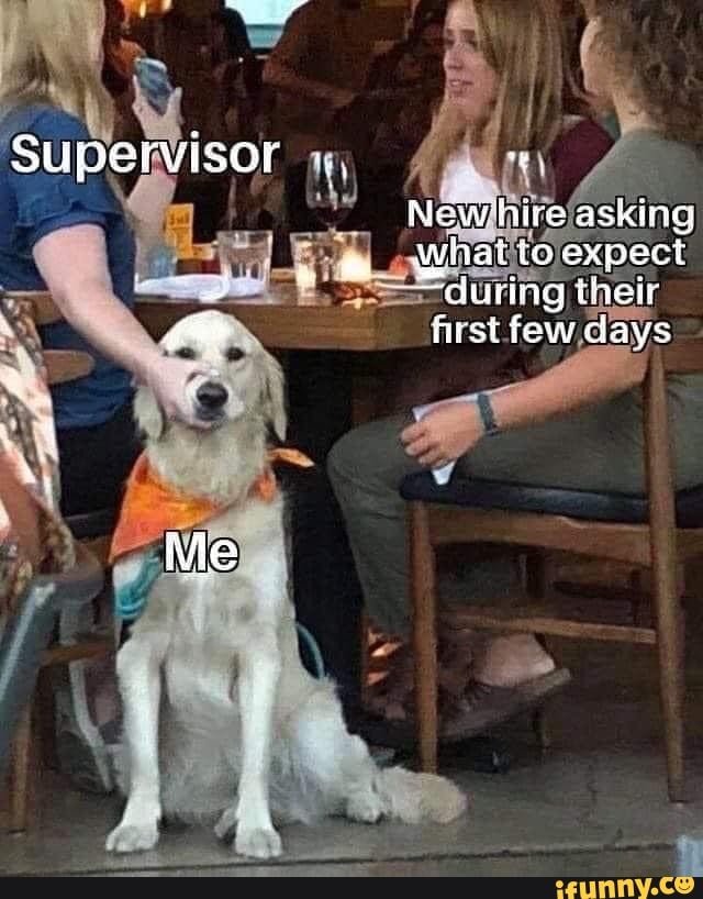 Supervisor New hire asking what to expect during their Me - iFunny