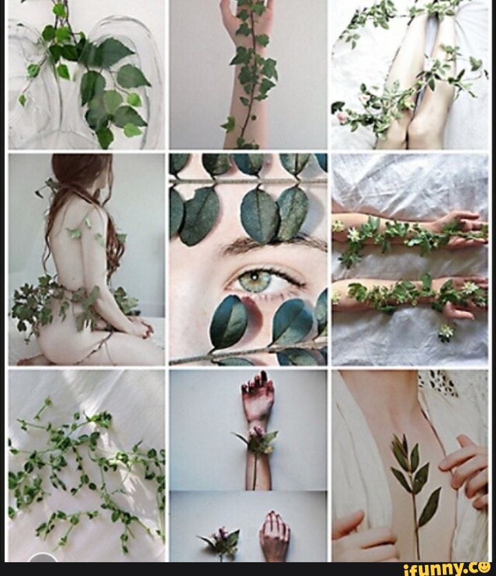 Rheaaesthetic memes. Best Collection of funny Rheaaesthetic pictures on ...