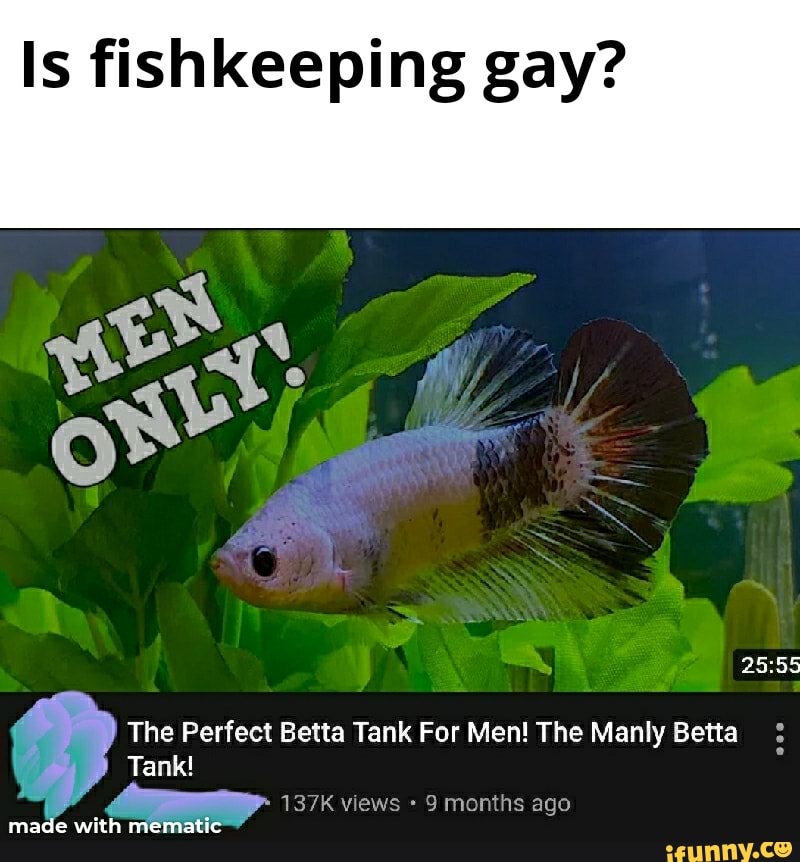 Fishkeeping memes. Best Collection of funny Fishkeeping pictures on iFunny