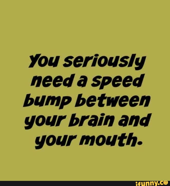 You seriously need a speed bump between your brain and your mouth. - iFunny