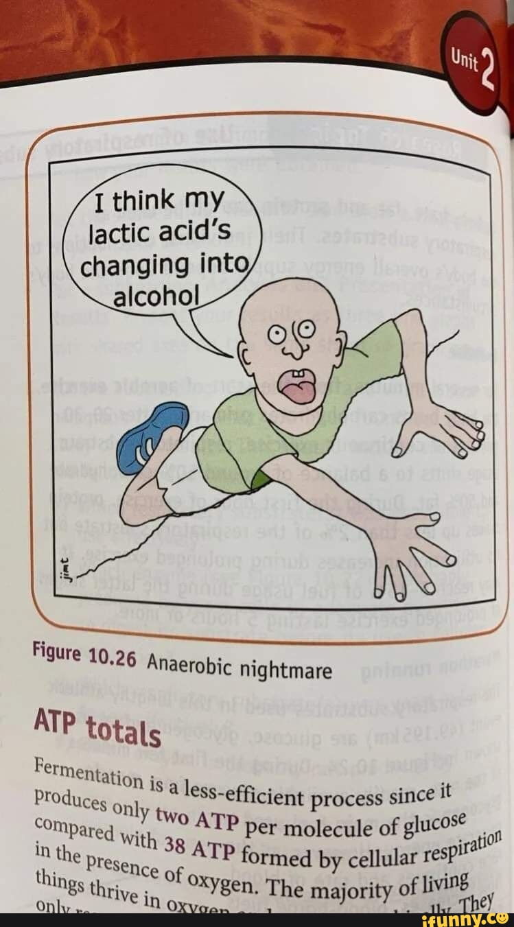 Video memes q4KK6HaB8 by ThatCreepyWeirdo: 1.9K comments - iFunny