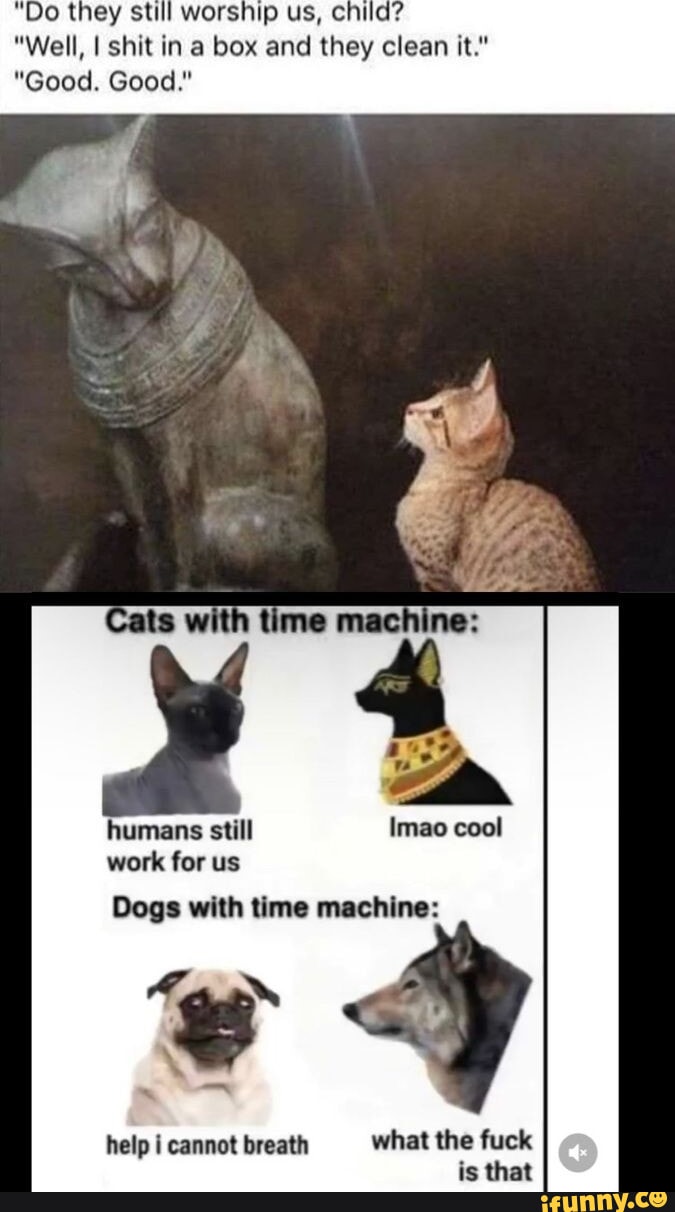 Video memes uqdQrgl6B by stellaa - iFunny