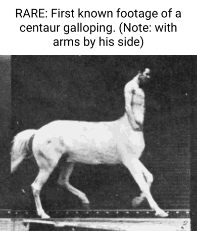RARE: First known footage of a centaur galloping. (Note: with arms by ...