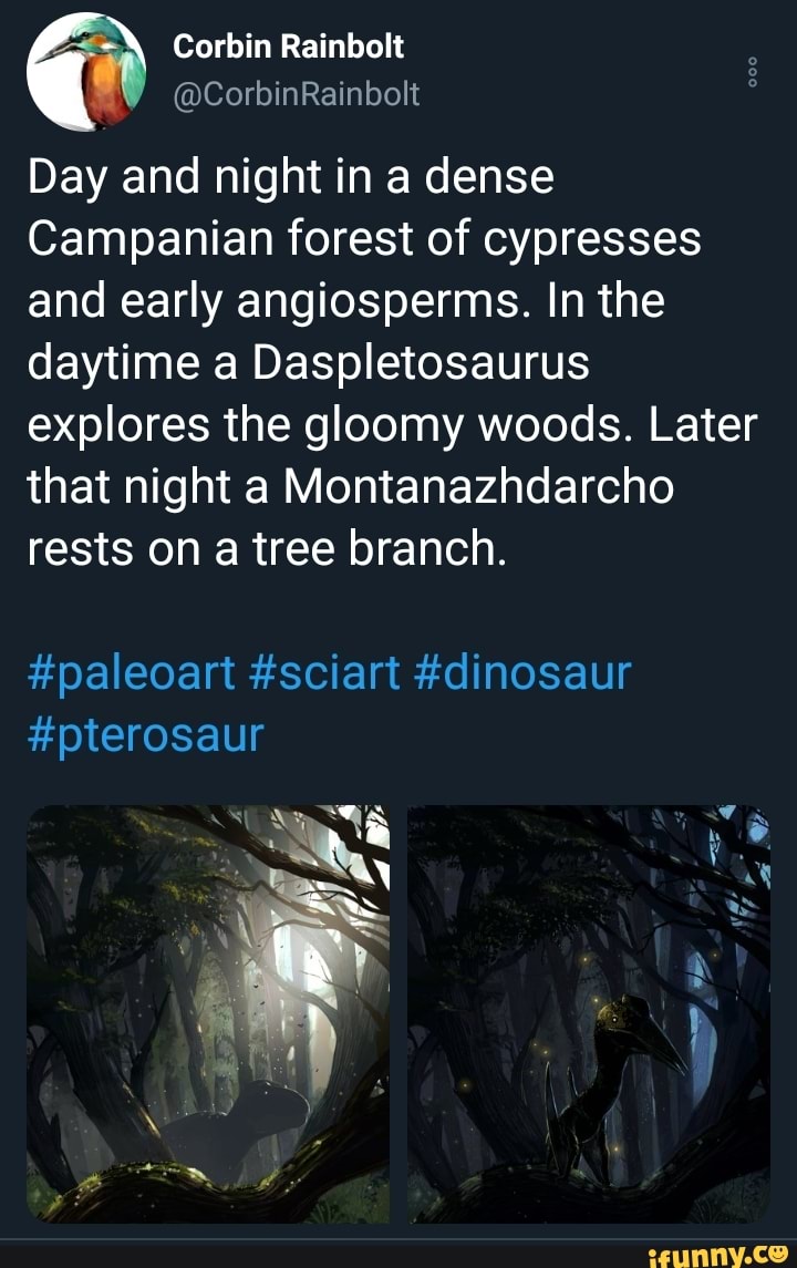 Rainbolt memes. Best Collection of funny Rainbolt pictures on iFunny