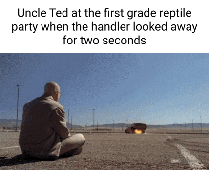 Handler memes. Best Collection of funny Handler pictures on iFunny